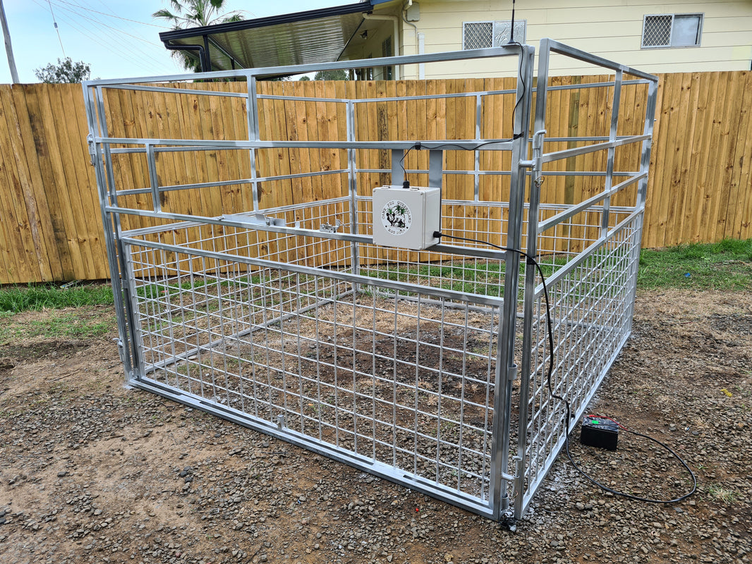 Pig Traps Australian Made – canepigqueensland