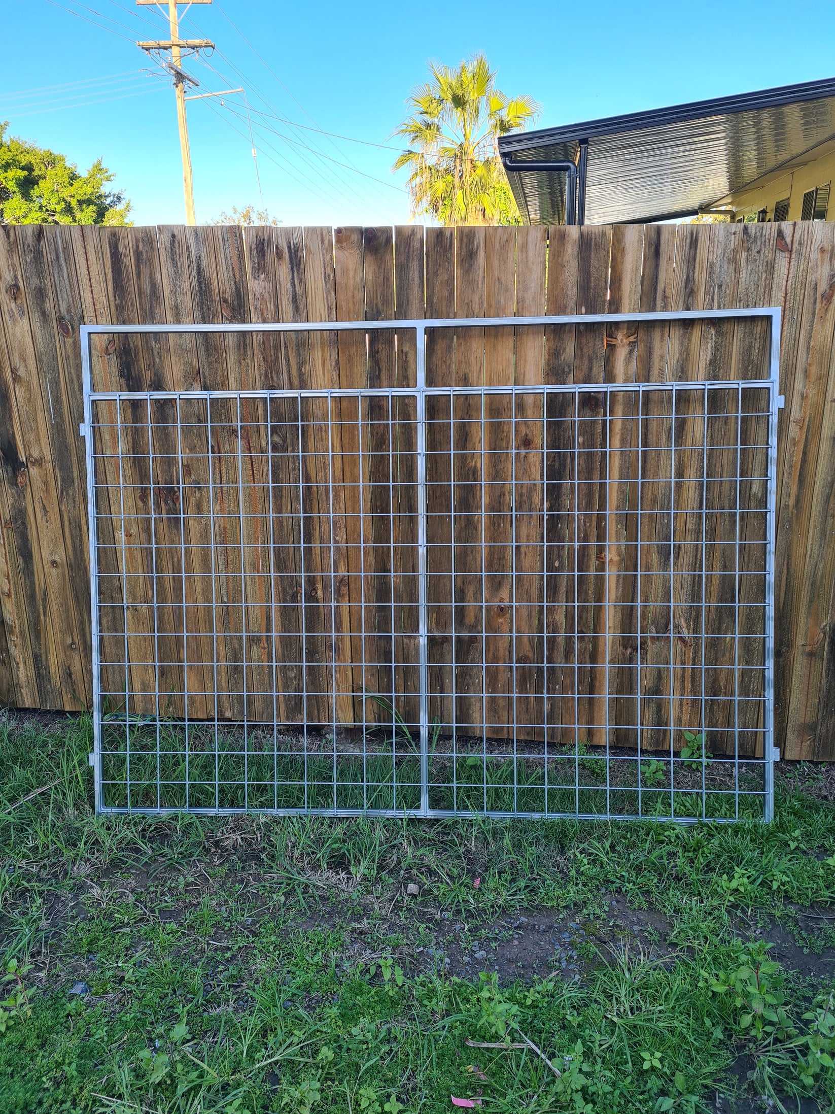 Trap Panels (Individual) – canepigqueensland